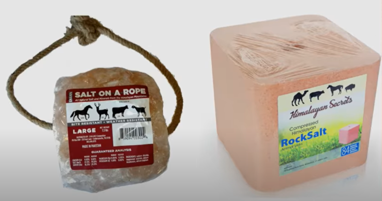 Best Salt Blocks For Horses: The Top 5 Equine Mineral Blocks - Equineigh
