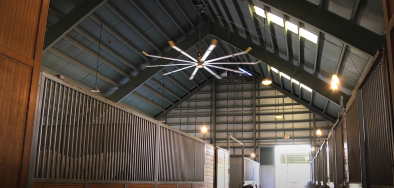 The 5 Best Horse Stall Fans (Keeping The Barn Cool) in 2022 - Equineigh